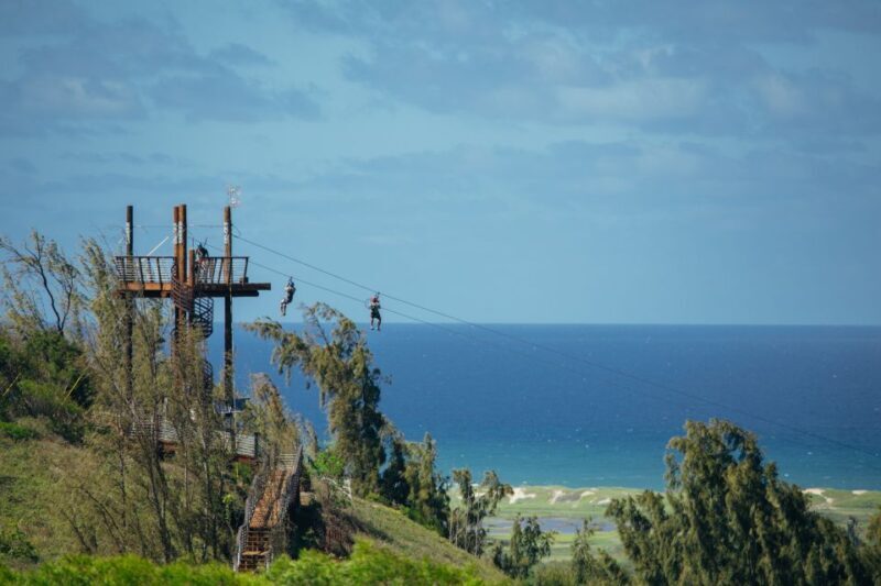Oahu: North Shore Zip Line Adventure with ATV and Farm Tour - Authentic Experience Backed by Reviews