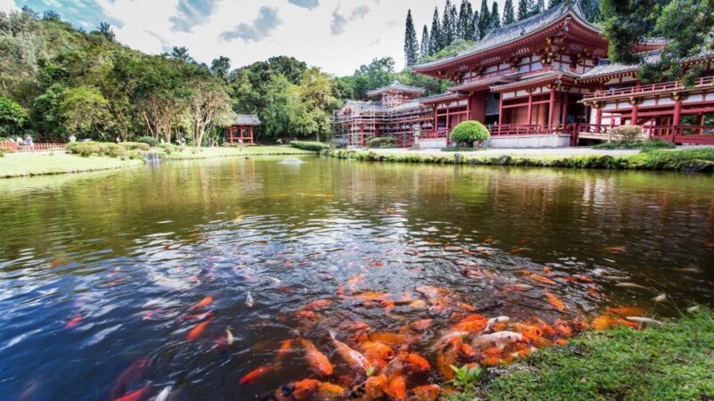 Oahu: Private Custom Island Tour - The Cost and Its Value