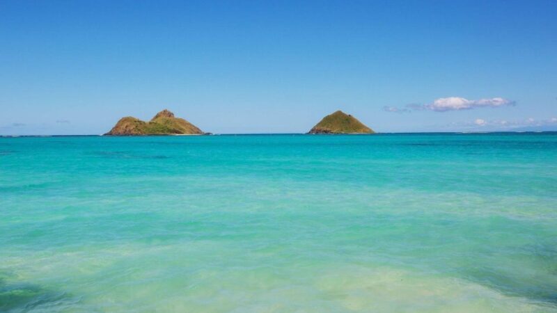 Oahu: Private Custom Island Tour - Who Is This Tour Best For?