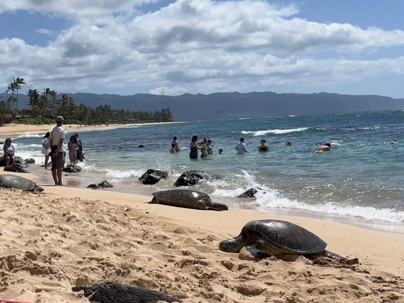 Oahu: Private Tour-Circle Island-Customizable - Why This Tour Stands Out