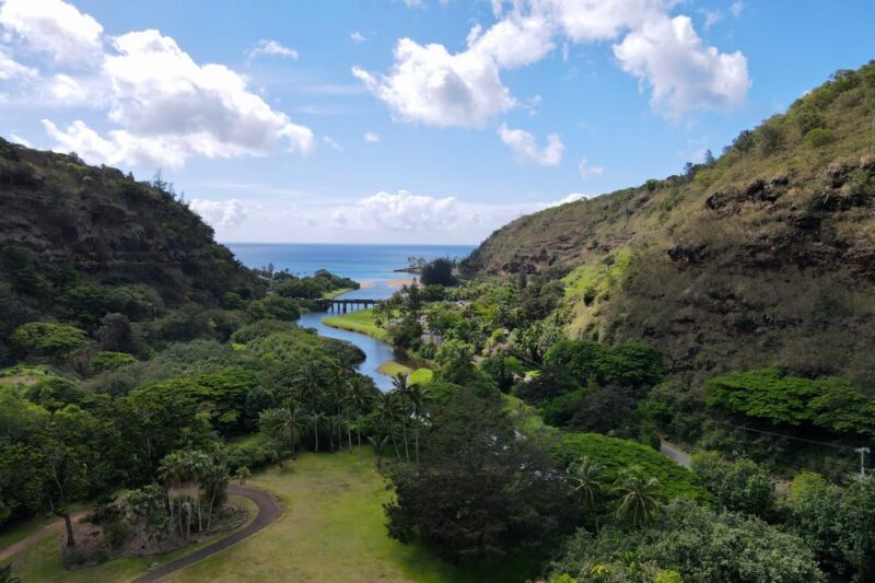 Oahu: Private Tour-North Shore feat. Waimea Falls - Starting With a First Look: What’s Included?