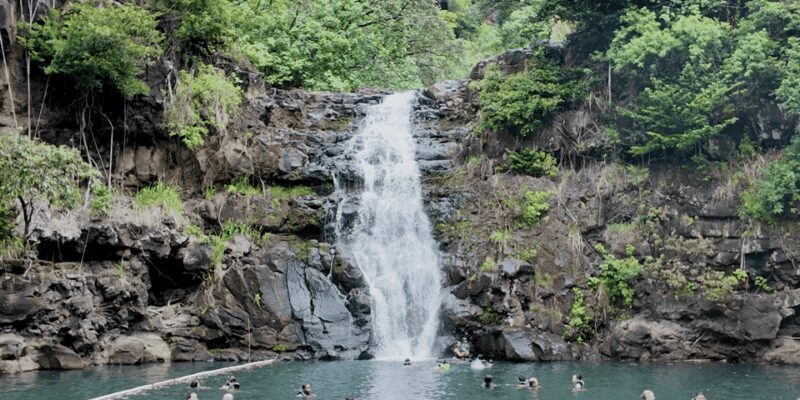 Oahu: Private Tour-North Shore feat. Waimea Falls - Final Thoughts