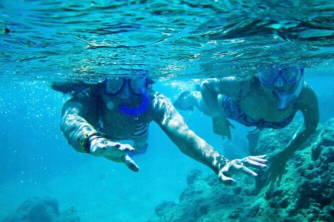 Oahu Private Tour North Shore, Waimea Falls and Dole Plantation - Authentic Experiences and Local Insights