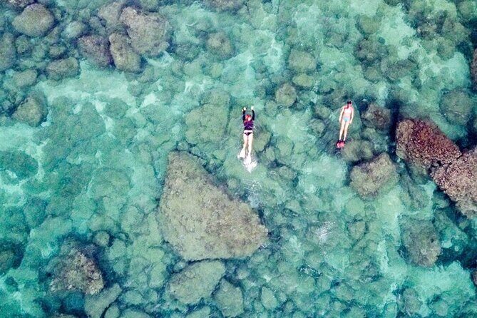 Oahu Private Tour North Shore, Waimea Falls and Dole Plantation - The Sum Up