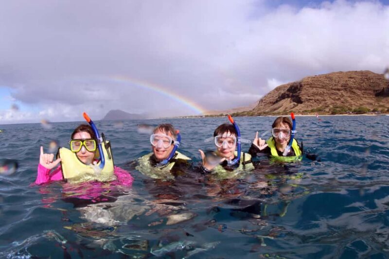 Oahu: Snorkeling & Dolphin Watch Cruise w/ Luau Style Buffet - Authentic Traveler Insights