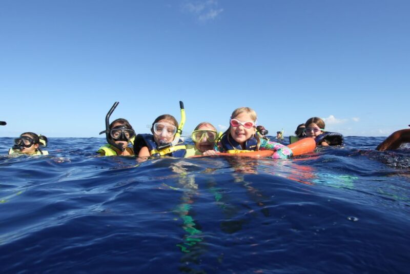 Oahu: Speedboat Snorkeling Adventure and Wild Dolphin Swim - FAQs
