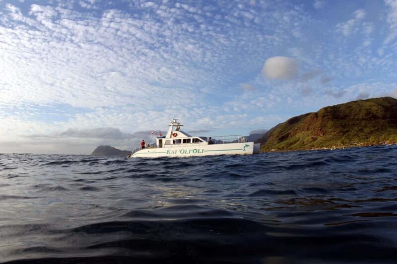 Oahu: Sunset Snorkeling, Dolphin Watch Cruise, Hawaiian meal - Final Thoughts