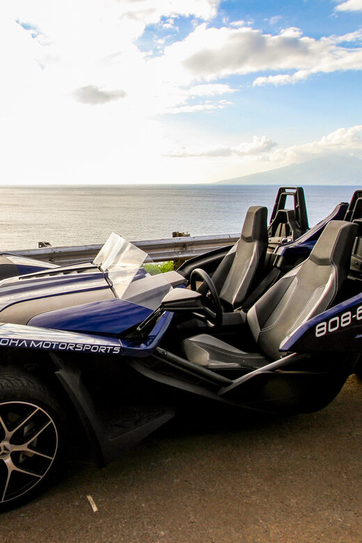 Oahu Top 13 Things to See Slingshot Aloha Tour - Who Will Love This Tour?