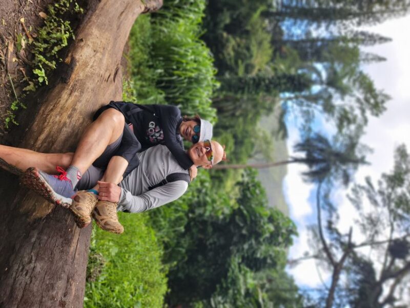 Oahu: Waikiki E-Bike Ride and Manoa Falls Hike - Who Is This Tour Best For?