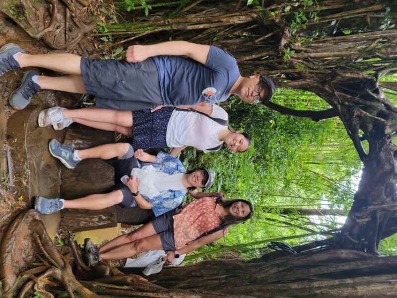 Oahu: Waikiki E-Bike Ride and Manoa Falls Hike - Final Thoughts