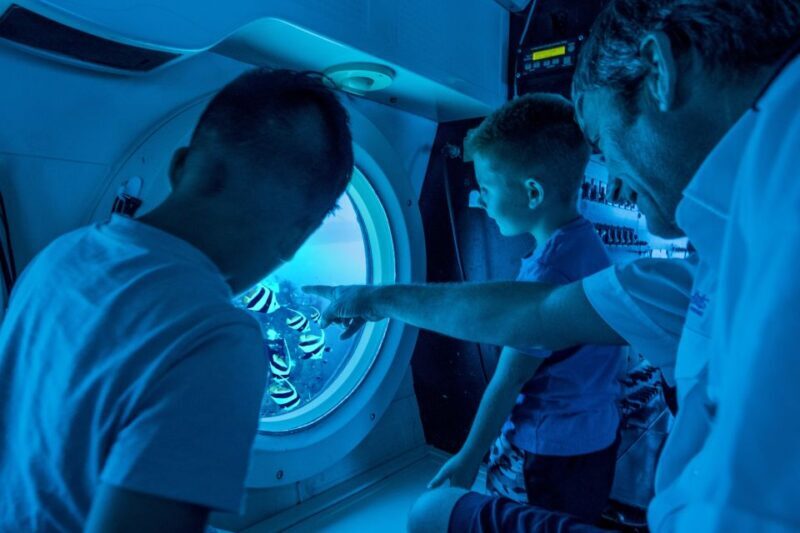 Oahu: Waikiki Submarine Tour - Key Points