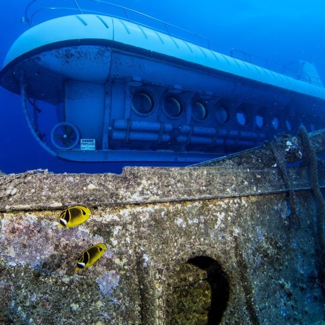 Oahu: Waikiki Submarine Tour - Final Thoughts: Who Will Love This Experience?