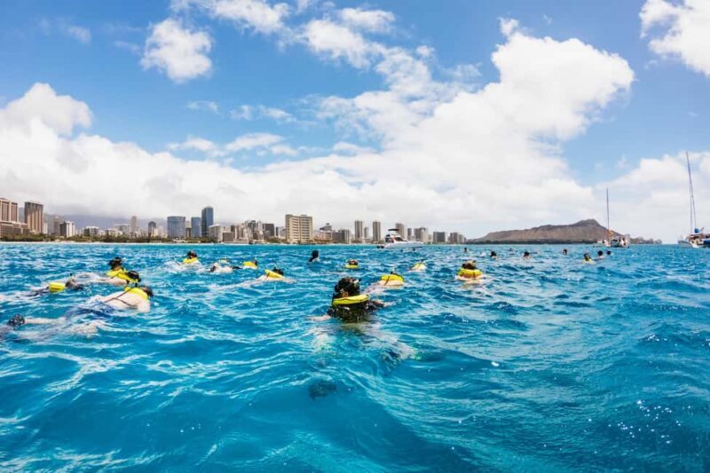 Oahu: Waikiki Turtle Snorkel Sail - The Sum Up