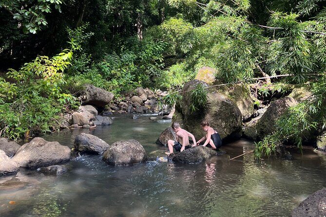 Oahu Waterfall Hike-Garden-Beach Road Trip, Waikiki to Lanikai - Who Should Consider This Tour?