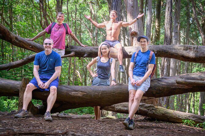 Oahu Waterfall Hike-Garden-Beach Road Trip, Waikiki to Lanikai - The Sum Up