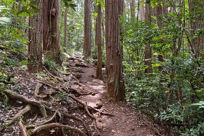Oahu Waterfall Hike-Garden-Beach Road Trip, Waikiki to Lanikai - FAQ