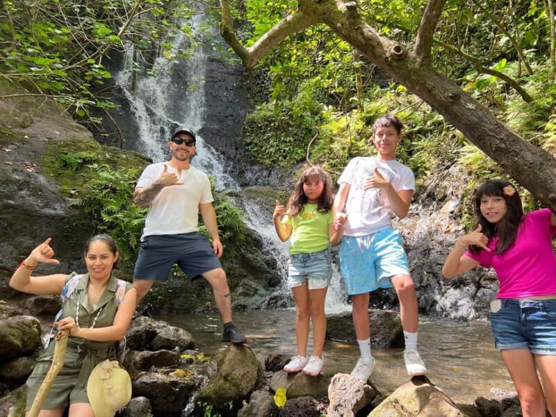 Oahu: Waterfall Hike via Scenic South Shore Drive - Exploring the Itinerary in Detail