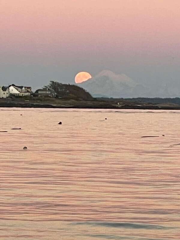 Oak Bay: Full Moon Paddle Experience - Key Points
