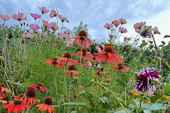 Oasis Cottage Gardens and Floristry Studio in Oxford, NZ - The Details of the Tour