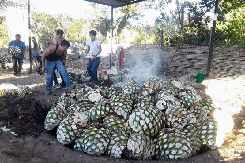 Oaxaca: Ancestral Mezcal Tasting in Ocotlan Valley - Who Should Book This Tour?