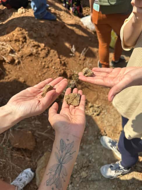 Oaxaca: Artisan Clay Pottery Workshop w/Breakfast and Brunch - An In-Depth Look at the Oaxaca Artisan Clay Pottery Tour