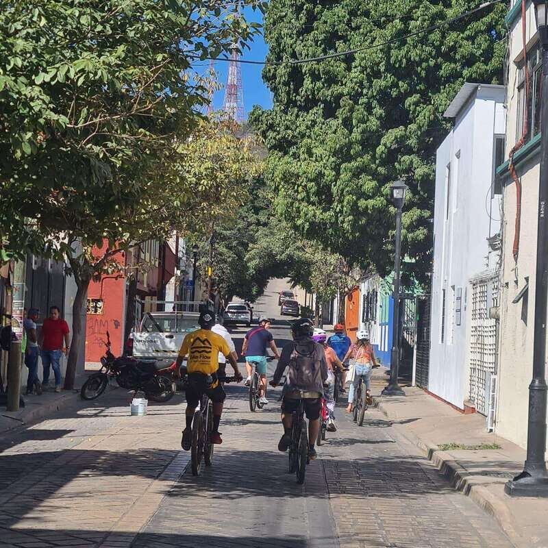 Oaxaca City: Bike Tour with Professional Guide+Art workshop - What Reviewers Say