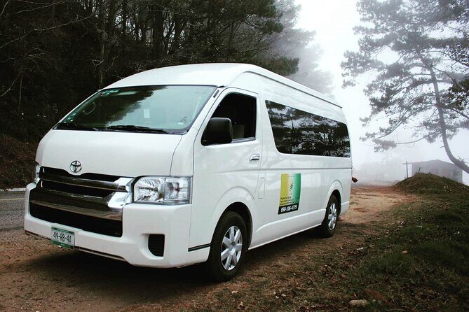 Oaxaca City Private vehicle with Guide - Exploring Oaxaca City with a Private Guide: An In-Depth Review