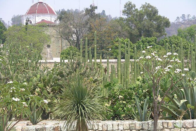 Oaxaca City tour - Santo Domingo museum & the colorful market - Who is This Tour Best For?