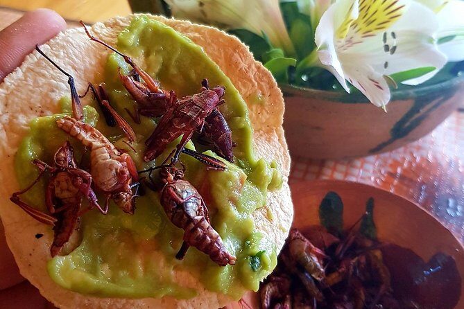 Oaxaca Conmigo Private Tours - Frequently Asked Questions