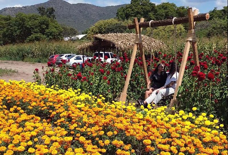 Oaxaca: Day of the Dead Altar Workshop with Meal - Who Should Consider This Tour?