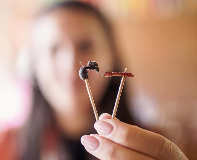 Oaxaca de Juarez: Traditional Oaxacan Cooking Class - Final Thoughts