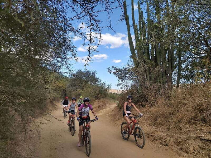 Oaxaca: Ejutla Canyon 1 Day Bike Tour - An In-Depth Look at the Ejutla Canyon Bike Tour