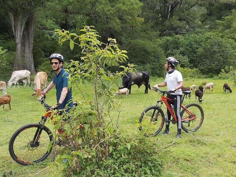 Oaxaca: Ejutla Canyon 1 Day Bike Tour - Who Will Love This Tour?
