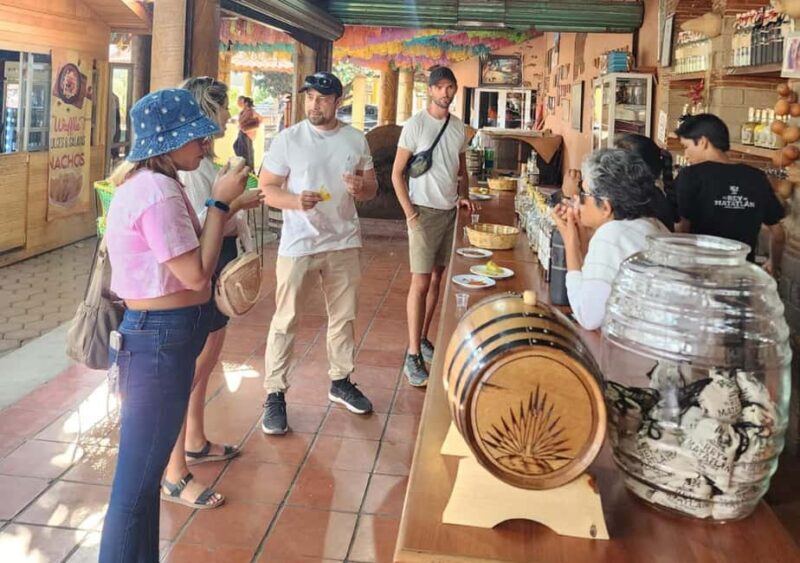 Oaxaca: El Tule, Mitla, and Hierve el Agua Tour with Mezcal - Transportation, guides, and overall value