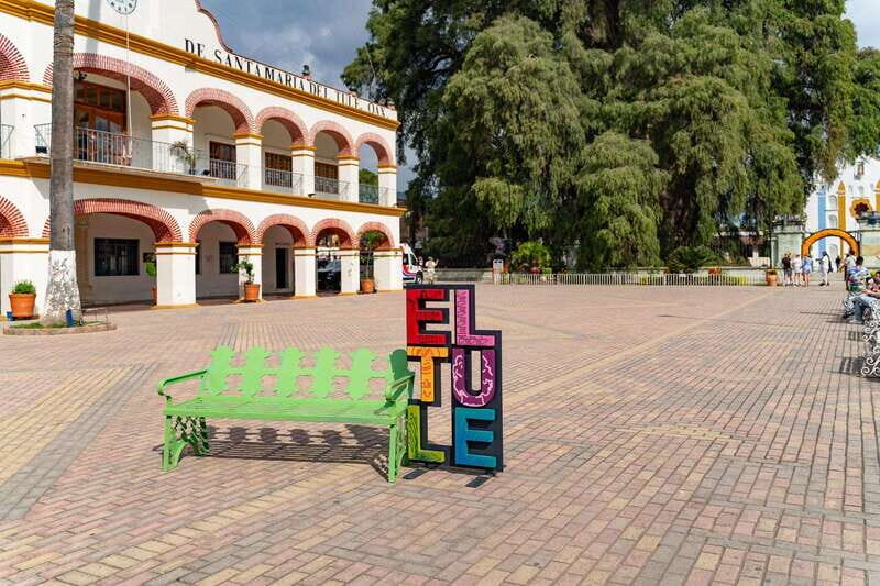 Oaxaca: El Tule tree, Teotitlan Village & Mezcal Tour - An Introduction to Oaxaca’s Highlights in a Single Tour