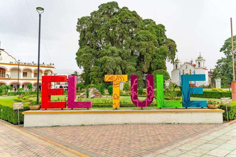 Oaxaca: El Tule tree, Teotitlan Village & Mezcal Tour - Authenticity & Review Highlights