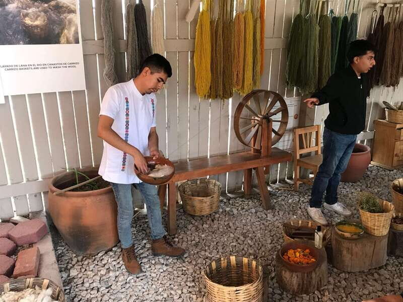 Oaxaca: El Tule tree, Teotitlan Village & Mezcal Tour - FAQ