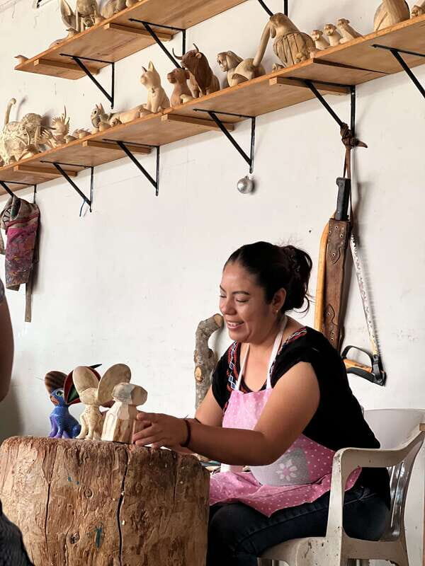 Oaxaca: Empowering Women Private Tour - The Practicalities
