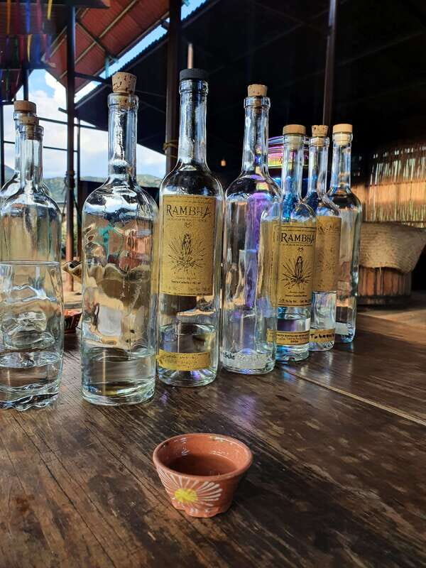 Oaxaca: Empowering Women Private Tour - The Sum Up