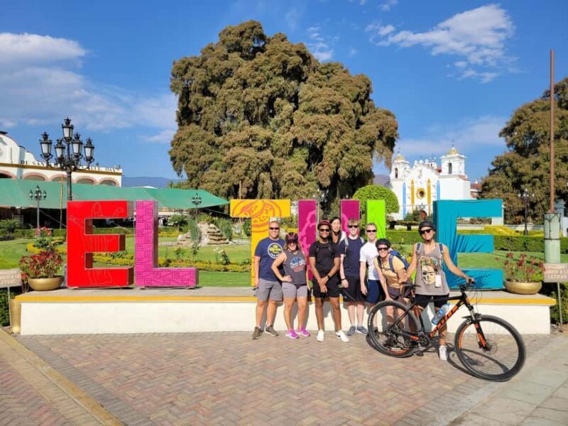 Oaxaca: Guided Bike Tour to the Largest Tree in the World - Key Points
