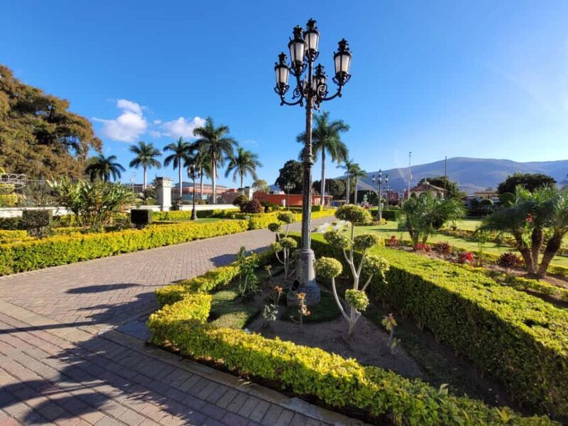 Oaxaca: Guided Bike Tour to the Largest Tree in the World - The Experience in Detail