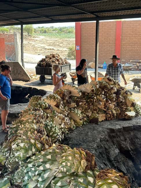 Oaxaca: Hierve el Agua & Mezcal Distillery Small-Group Tour - Who Should Consider This Tour?
