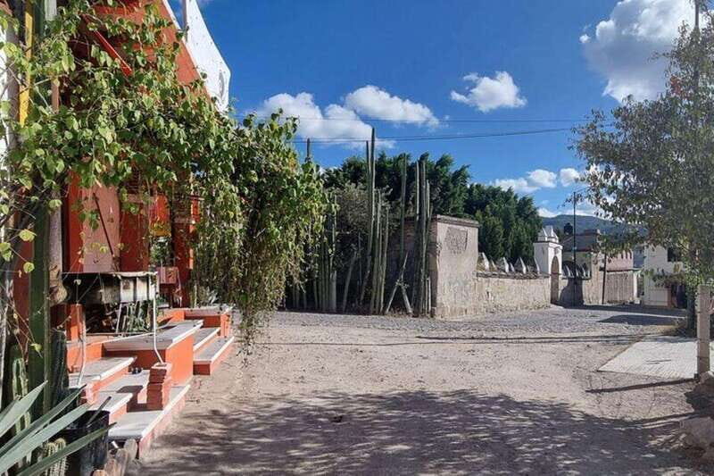 Oaxaca: Hierve el Agua, Mitla, Mezcal, and Maguey Fields - Lunch in Maguey Fields: Authentic Flavors and Local Spirits