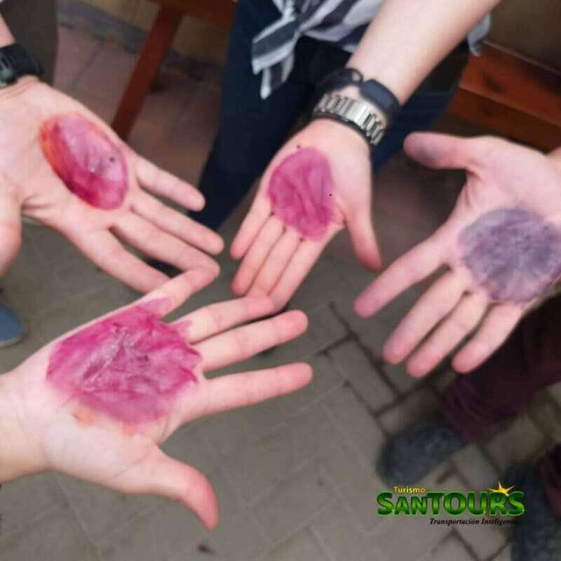 Oaxaca: Hierve el Agua Tour - Hierve el Agua: Nature’s Masterpiece