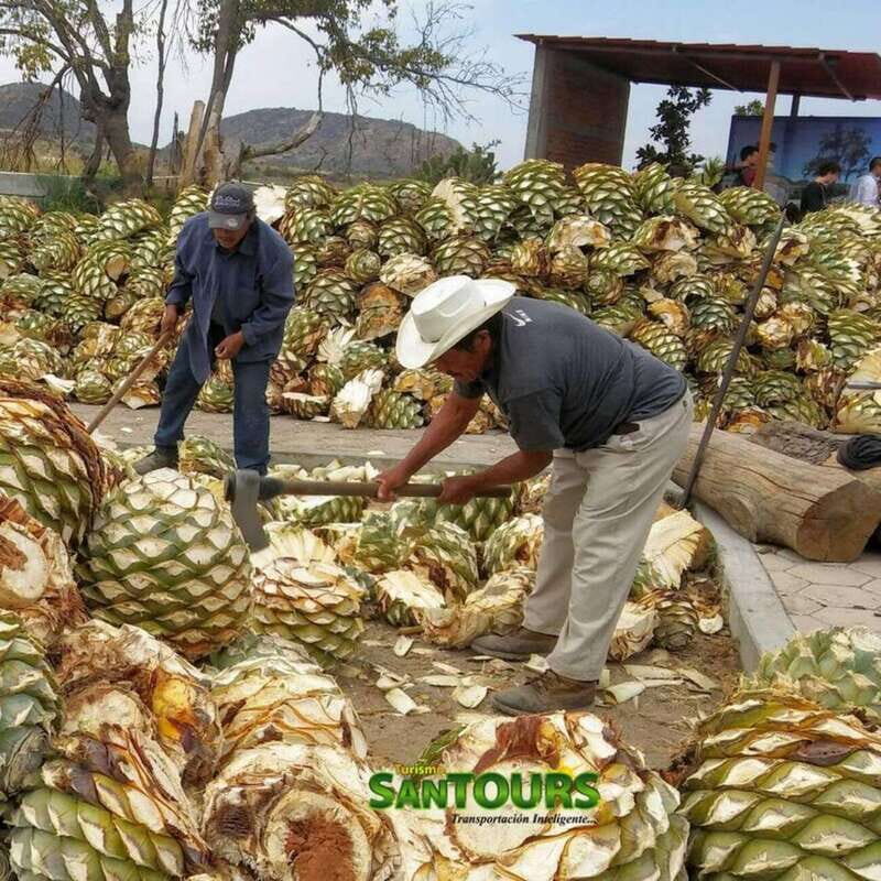 Oaxaca: Hierve el Agua Tour - Final Thoughts: Is It Worth It?