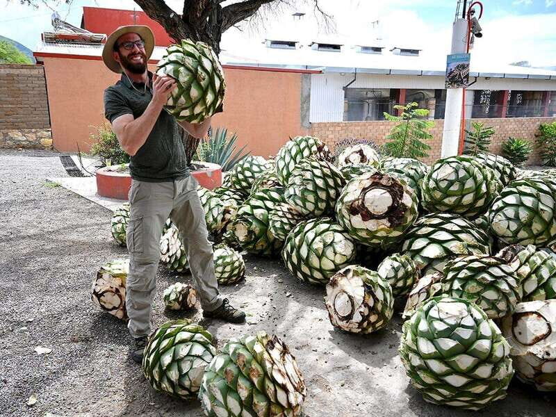 Oaxaca: Mezcal Distillery Tour with Tastings - Visiting Family-Owned Palenques