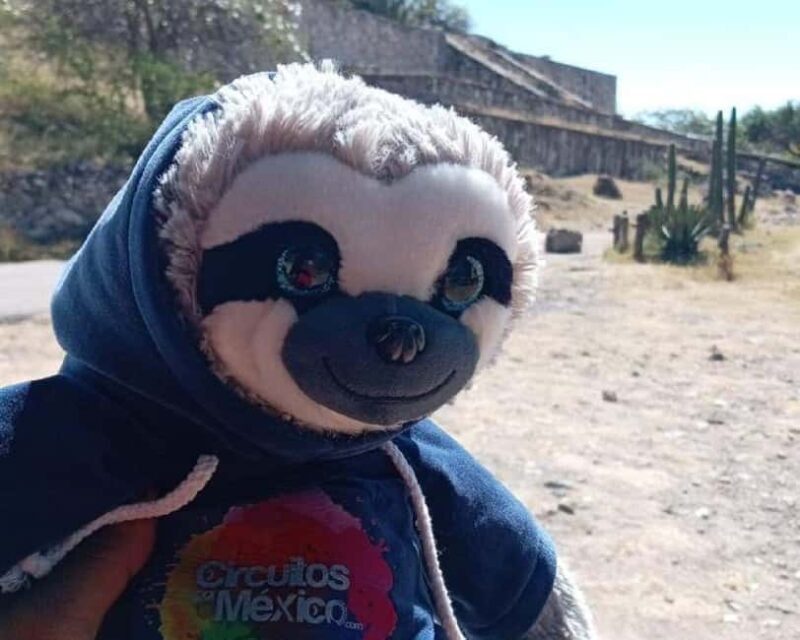 Oaxaca: Mezcal Tasting & Barrel Ride - FAQ