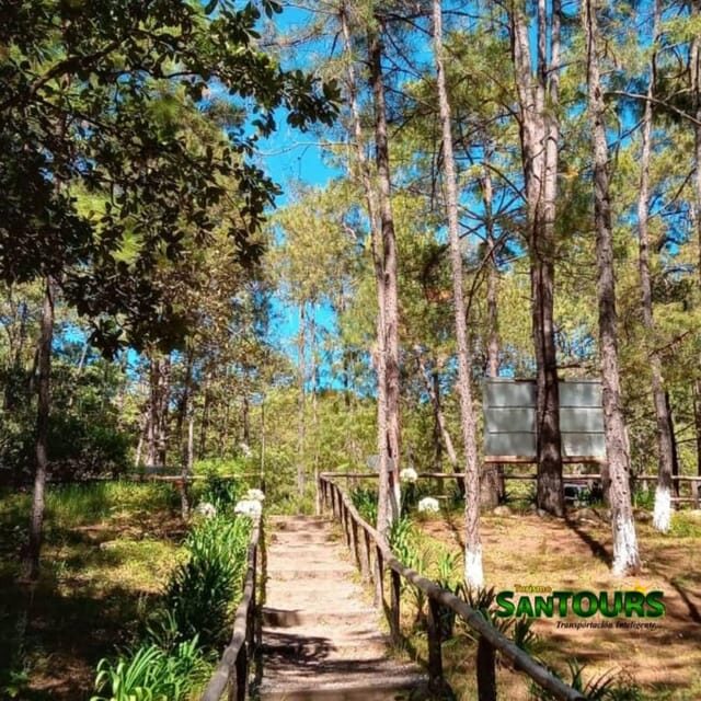 Oaxaca: Monte Albán Archaeological Tour - Admiring Black Mud Crafts in San Bartolo Coyotepec