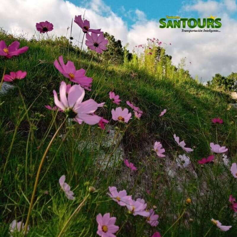 Oaxaca: Monte Albán Archaeological Tour - Final Thoughts