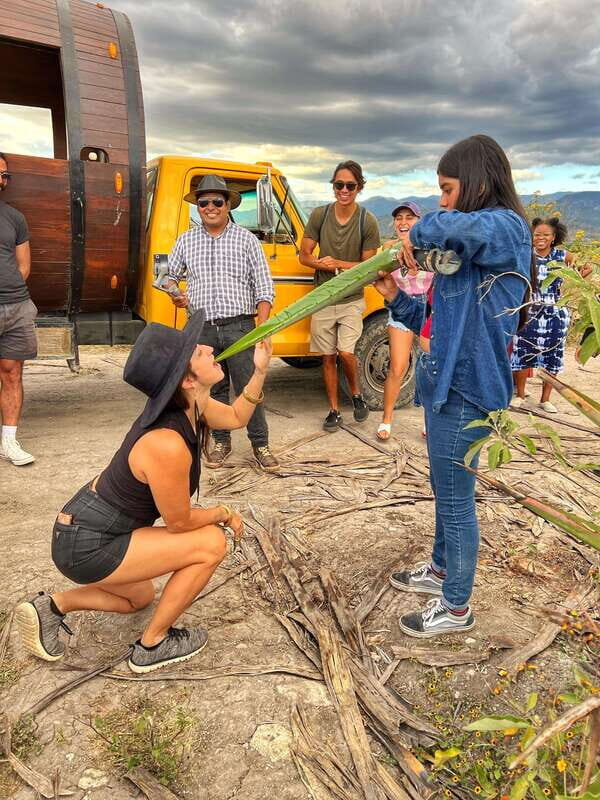 Oaxaca: Monte Albán, Hierve el agua, Mezcal and Teotitlán - A Closer Look at the Tour Experience